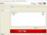 Oracle Client 12.2.0.1.0 for Microsoft Windows x64 설치 가이드: Instant ...