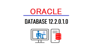 ORA-01017 오류 해결하기: sqlplus / as sysdba 명령으로 접속이 안될 때 | 눈깨비IT개발자메모